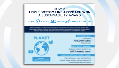 Triple Bottom Line Approach Infographic